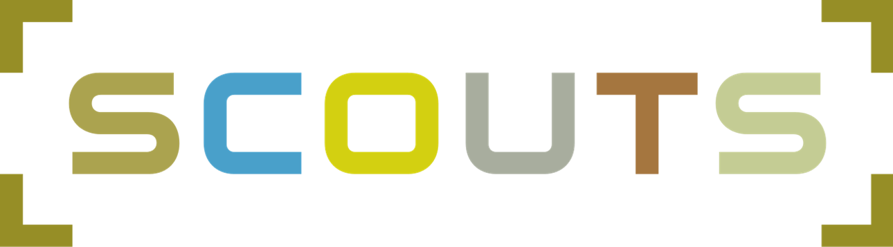 Scouts (Age 11-14) – 1st Palmerston Scouts